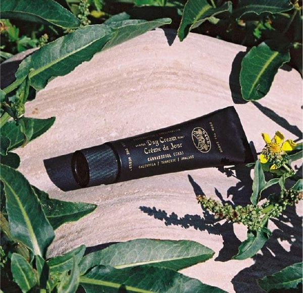 Preservation Day Cream | HAOMA Natural Skincare