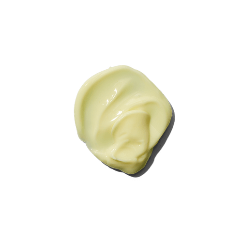 Preservation Day Cream | HAOMA Natural Skincare